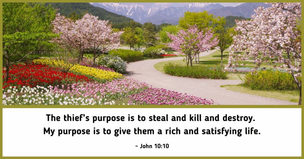 Prayer Seed: John 10:10 - Viroqua and Westby United Methodist Churches